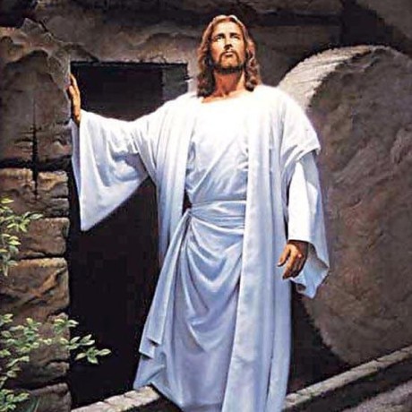 Deezloader Offical Page Github - Premium Minimal Illustration Gallery - Mobile