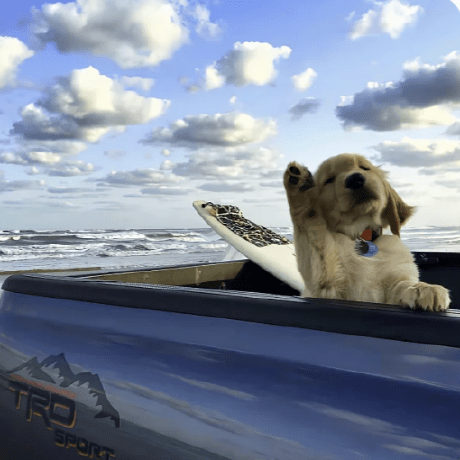 Huabo Zhu Huburt Github