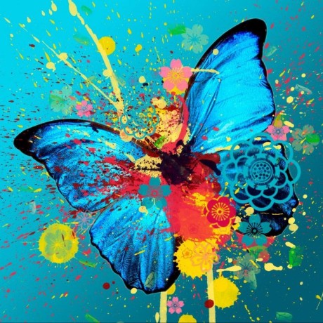 Siladr2019 Sheila Github