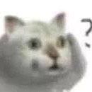 Mq66666 Qi Mao Github