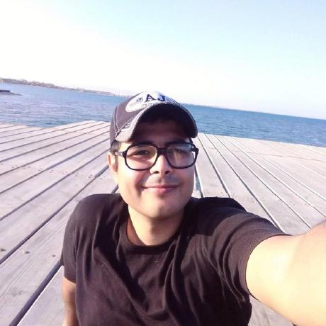 Amrelbardini Amr Elbardini Github