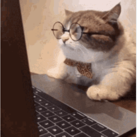 Darius H Darius H Github