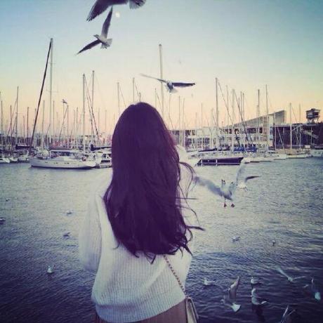 Arielsunflower Ariel Github