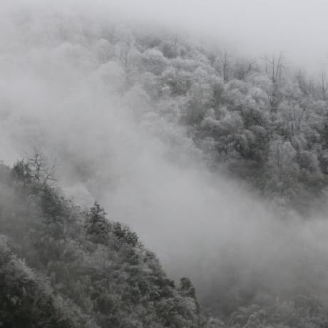 Ustclzyang Lizhou Yang Github