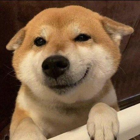 Github Rocky Linux Rockylinux Org The Official Website Of The Rocky