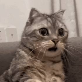 Markocuk54 Marko Github