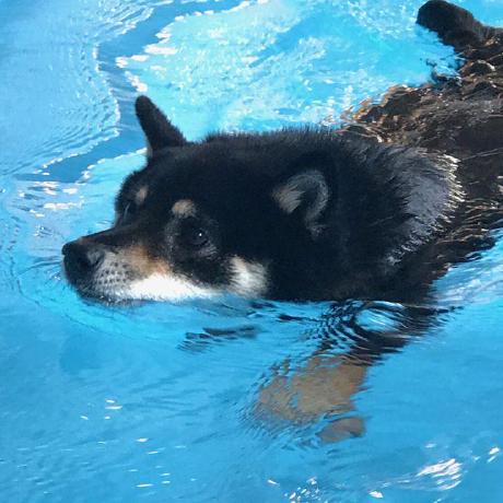 Nanami220816 N Github