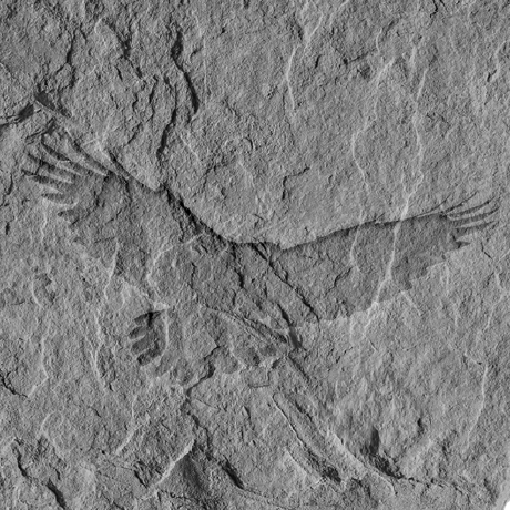 Github Tum Db Plush Plush A Write Optimized Persistent Log - Modern Dark Pattern - Ultra HD