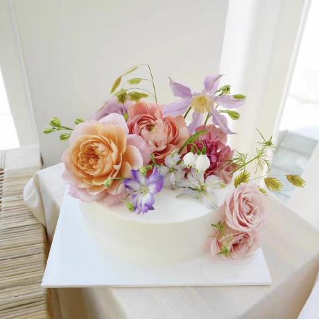 Yhzcake Github - Premium Nature Art Gallery - Desktop