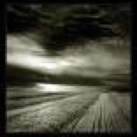 Andygithub Andy Github