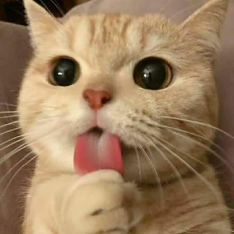 Github Body Alhoha Openectasy Minecraft Server Bukkit Spigot