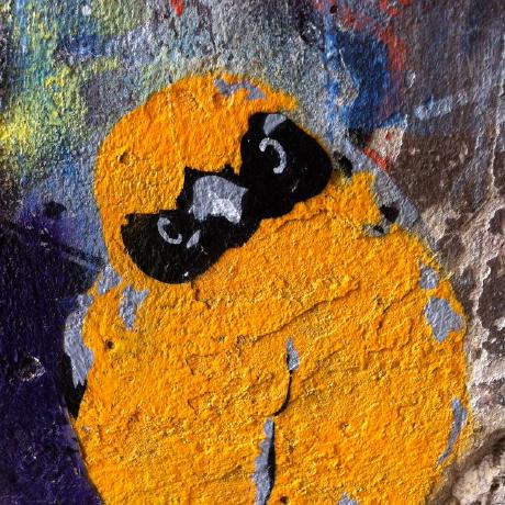 Wild Minds Cat Hobaiter Github