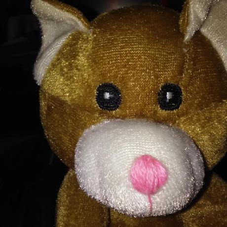 Jackson R C Jackson R C Github