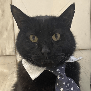 Burburjj Jero Github