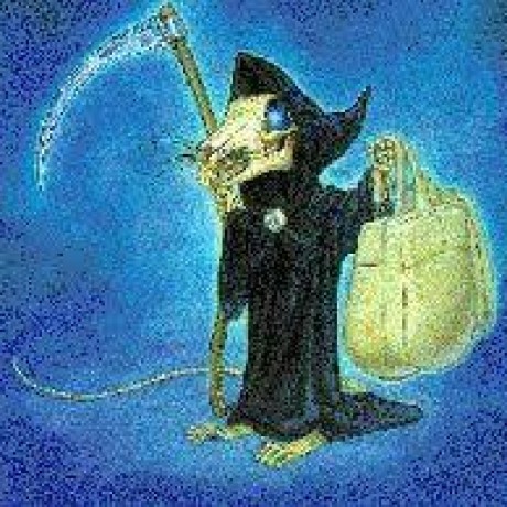 Github Nadavbra Protein Bert