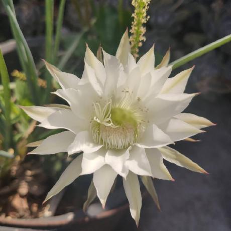 Github Lb Fes Emby - Space Image Collection - Retina Quality