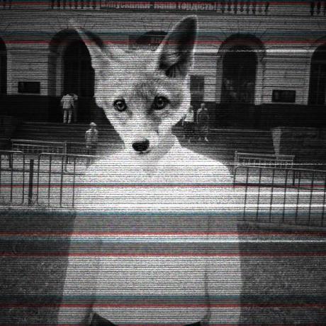 Vladswls Vladyslav Github