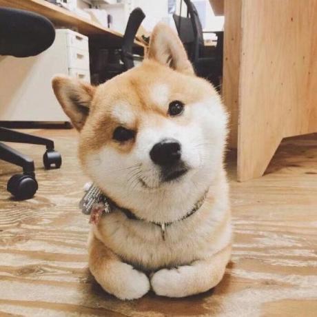 个人关于reaxff力场的最基本的理解 Issue 13 Roy Kid Lammpscn Github