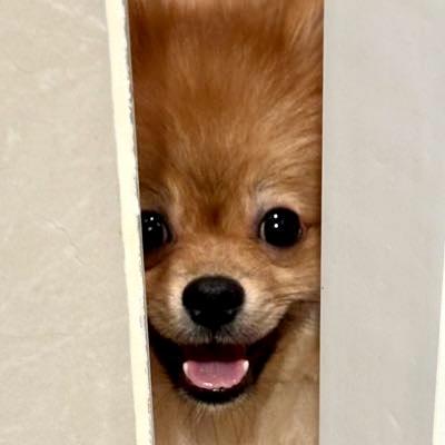 Eddiearc Eddie Lin Github