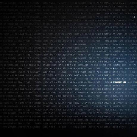 Daltonbaum Dalton Baum Github