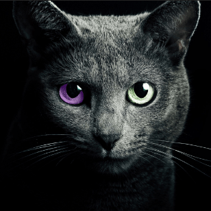 Github Ch3nye Wizardlm - Retina Abstract Wallpapers for Desktop