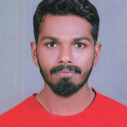 Robin8113 Robin Jacob Github