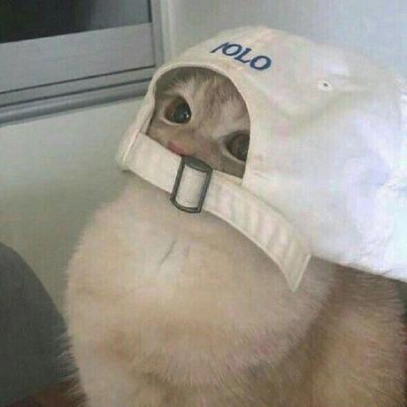 Armstrong794 Konstantin Github