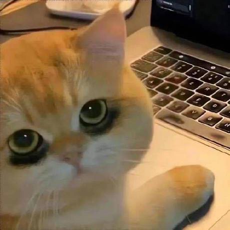 Summericy Summer Github