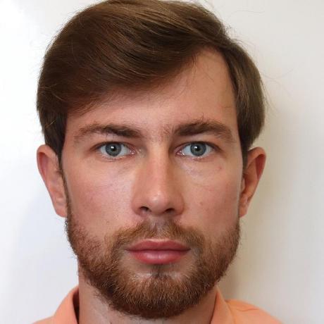 Dvornikov Prog Github