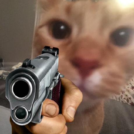 Elizabethfeden Elizabeth Github