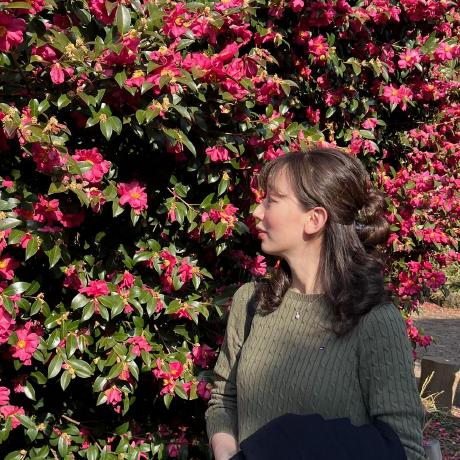 Inxnxng Inkyung Huh Github