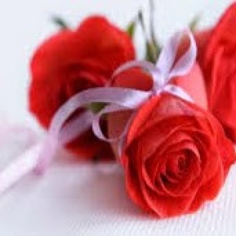 Rinazs Rinaz Shaikh Github