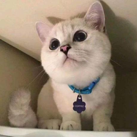 Andycall Andy Dong Github - Desktop Gradient Patterns for Desktop