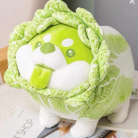 Chenchongbiao Bluesky Github