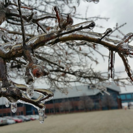 Jackluucoding Truong Jack Luu Github