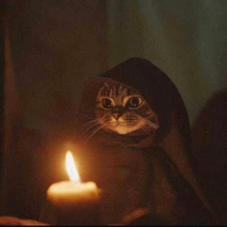 Git Abdullah Abdullah Zafar Github