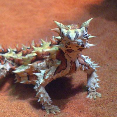 Kappsegla Martin Blomberg Github