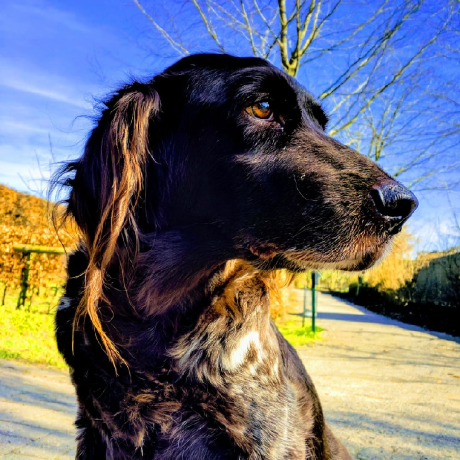 Thermalcube Nikolai Github