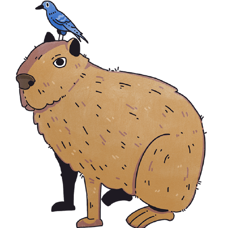 Capivara Tech Github - Ultra HD Light Pictures for Desktop