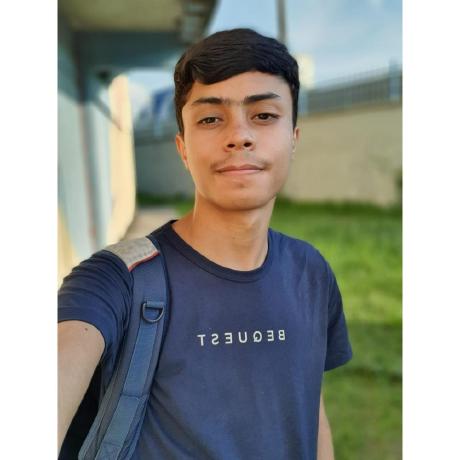 Paulodeveloping Paulo Henrique Github