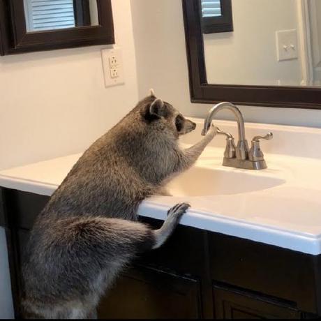 Kentodaikoku Kenken Github - Ocean Pictures - Modern HD Collection