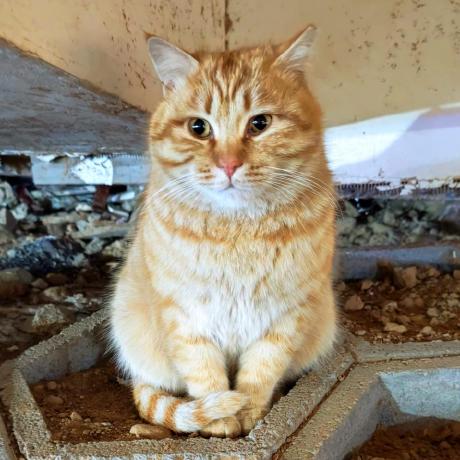 Glucose 180 Glucose 180 Github