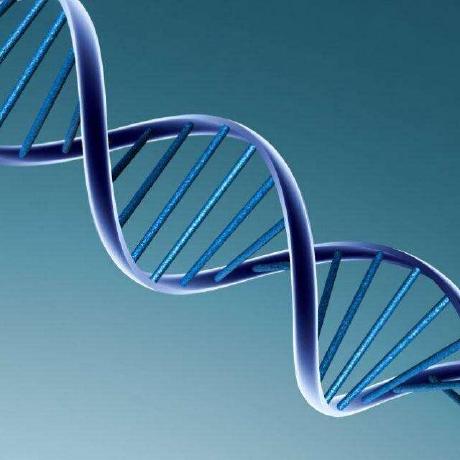 179 180 Github - Premium Colorful Image Gallery - Mobile