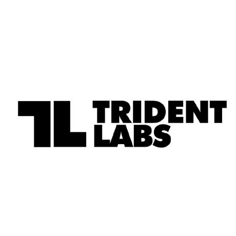 Auv Trident Labs Github