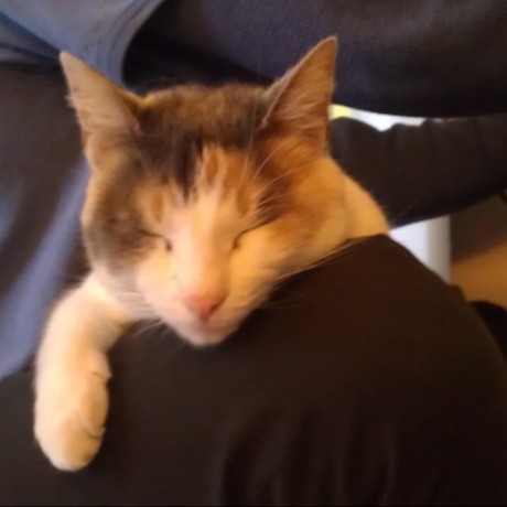 Thebeastunleashed Breanne Github