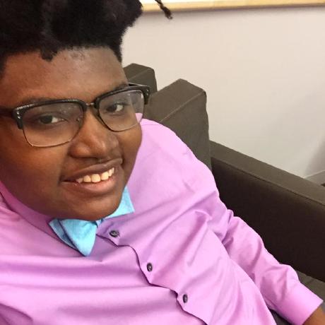 Raynise Raynise C Github