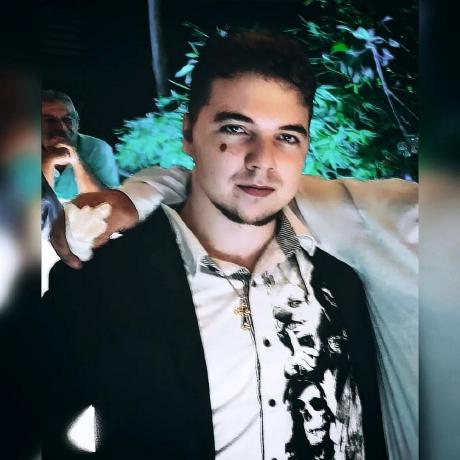 Michael Shollaj Michael Shollaj Github