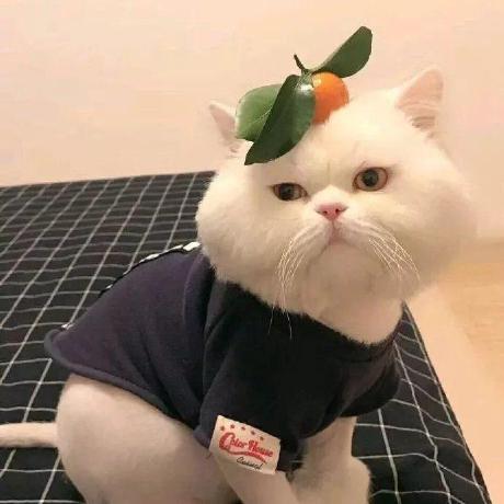 Ethan 1994 Ethan Github