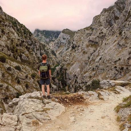 Niklas Weber Niklas Weber Github