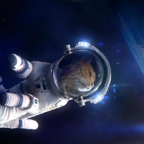 Bsloan Brian Sloan Github